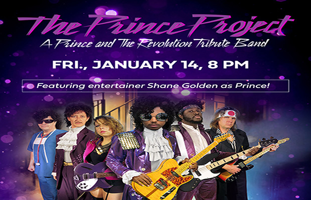 The Prince Project - Sunny 95